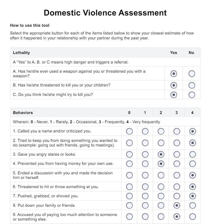 Domestic Violence Assessment & Example | Free PDF Download